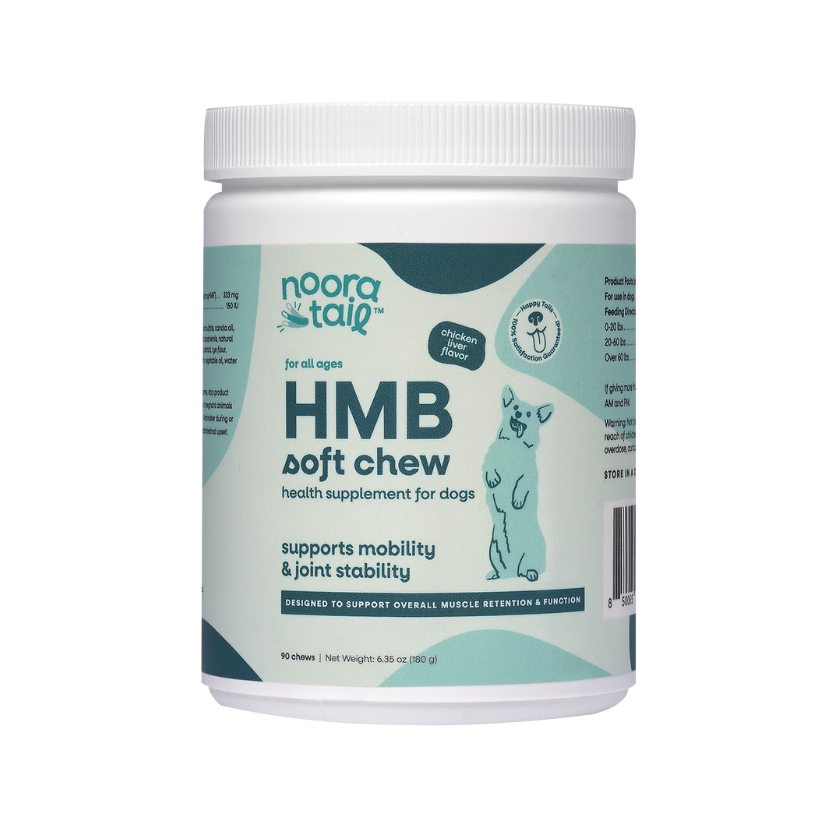 Best Dog Vitamins to Ensure Optimal Health-nooratail – Noora