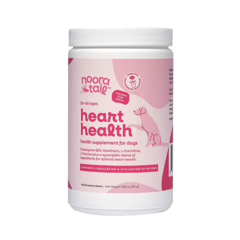 Best Dog Vitamins to Ensure Optimal Health-nooratail – Noora